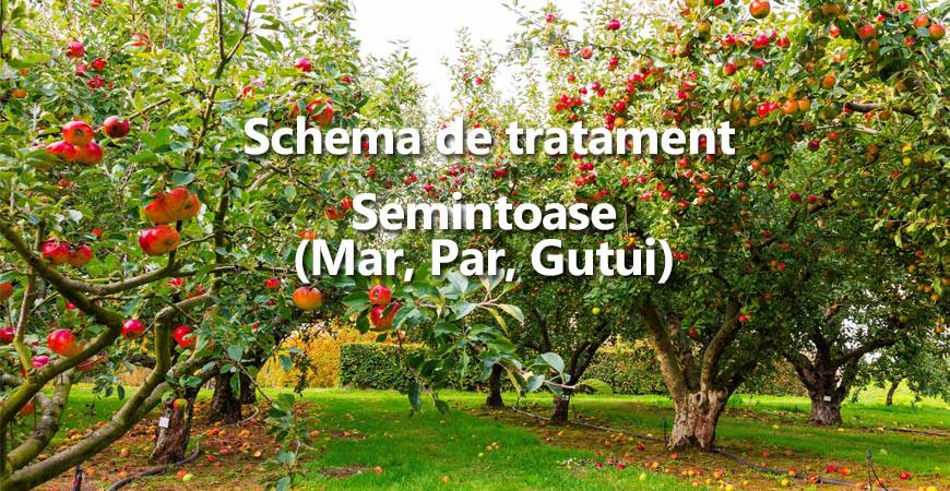 Schema de tratament la semintoase (Mar, Par, Gutui) si principalele ...