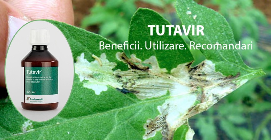 Cum utilizam eficient produsul Tutavir?