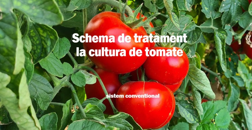 Schema de tratament la cultura de tomate